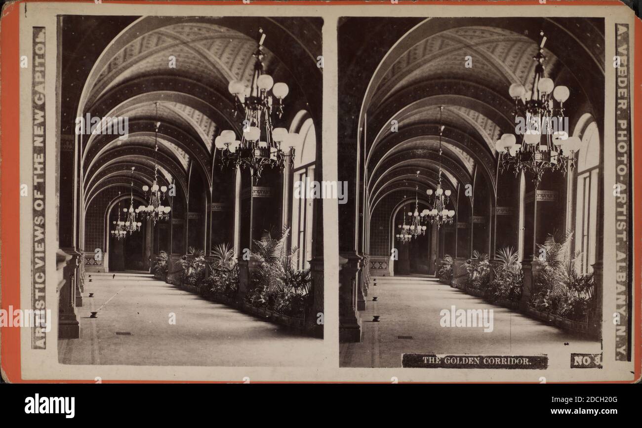 The Golden Corridor., Veeder, Aaron, New York (State), Albany (N.Y ...