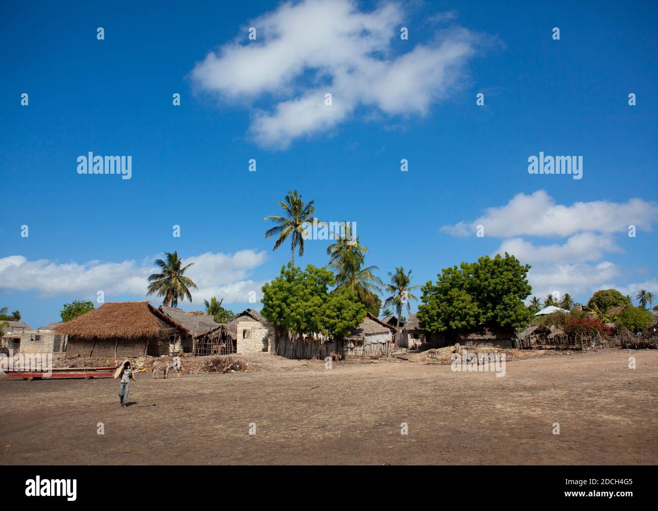 Traditional village with thatched roofs, Lamu County, Matondoni, Kenya ...