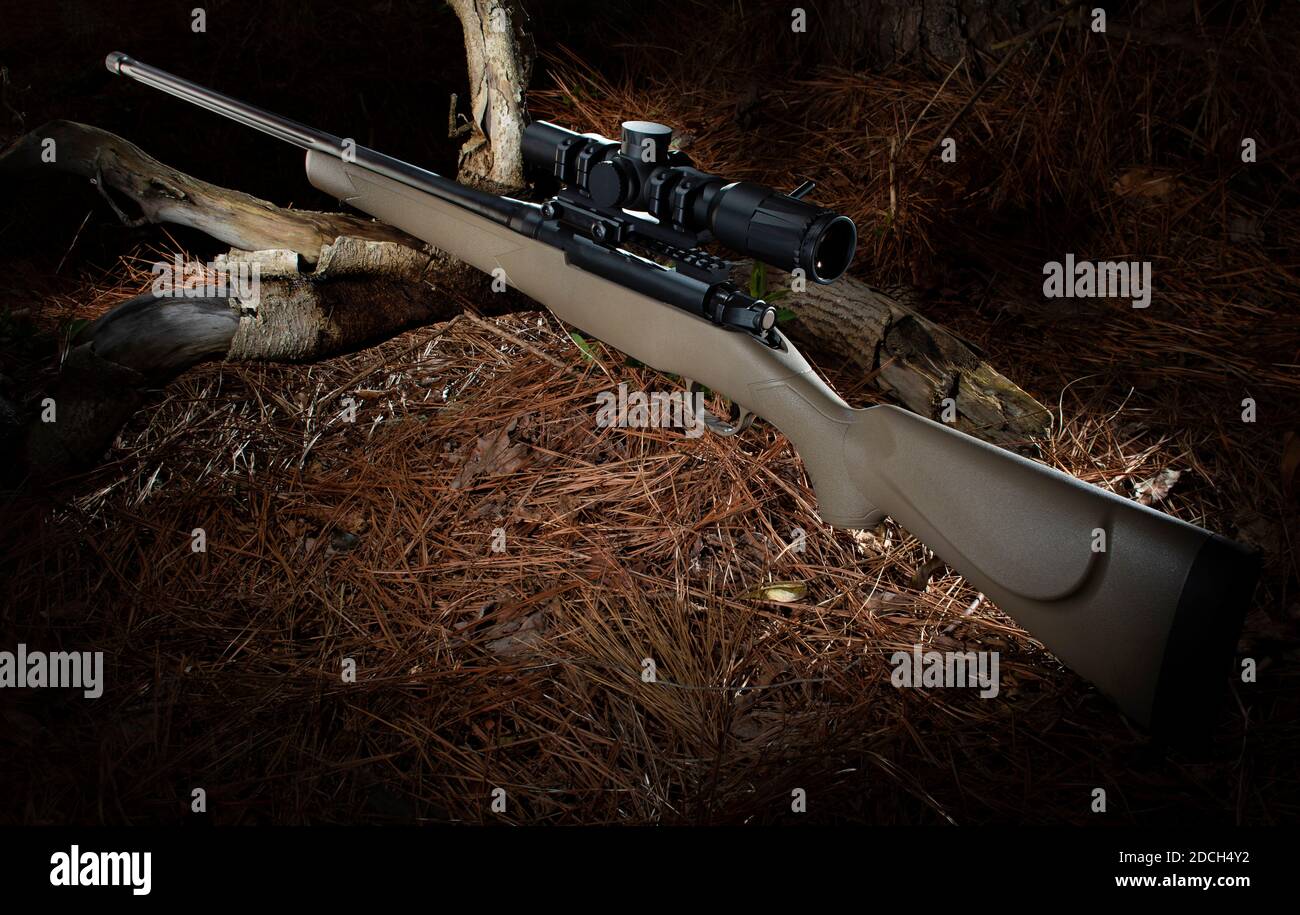 Bolt action rifle with a high powered scope in the forest Stock Photo ...