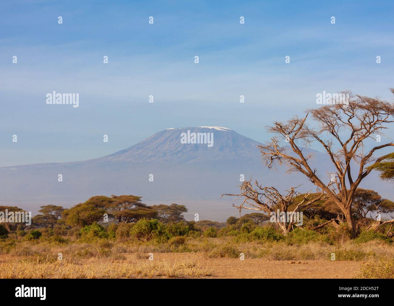 Kenya amboseli kilimanjaro view hi-res stock photography and images - Alamy
