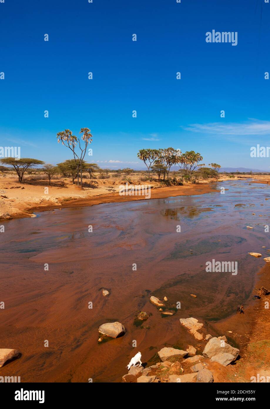 Kenya 8879 hi-res stock photography and images - Alamy