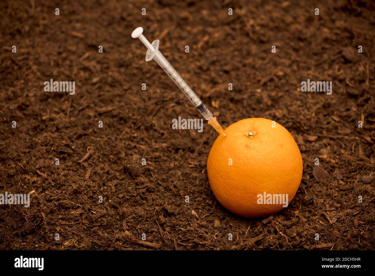 orange with incada syringe, genetic modification experiment Stock Photo ...