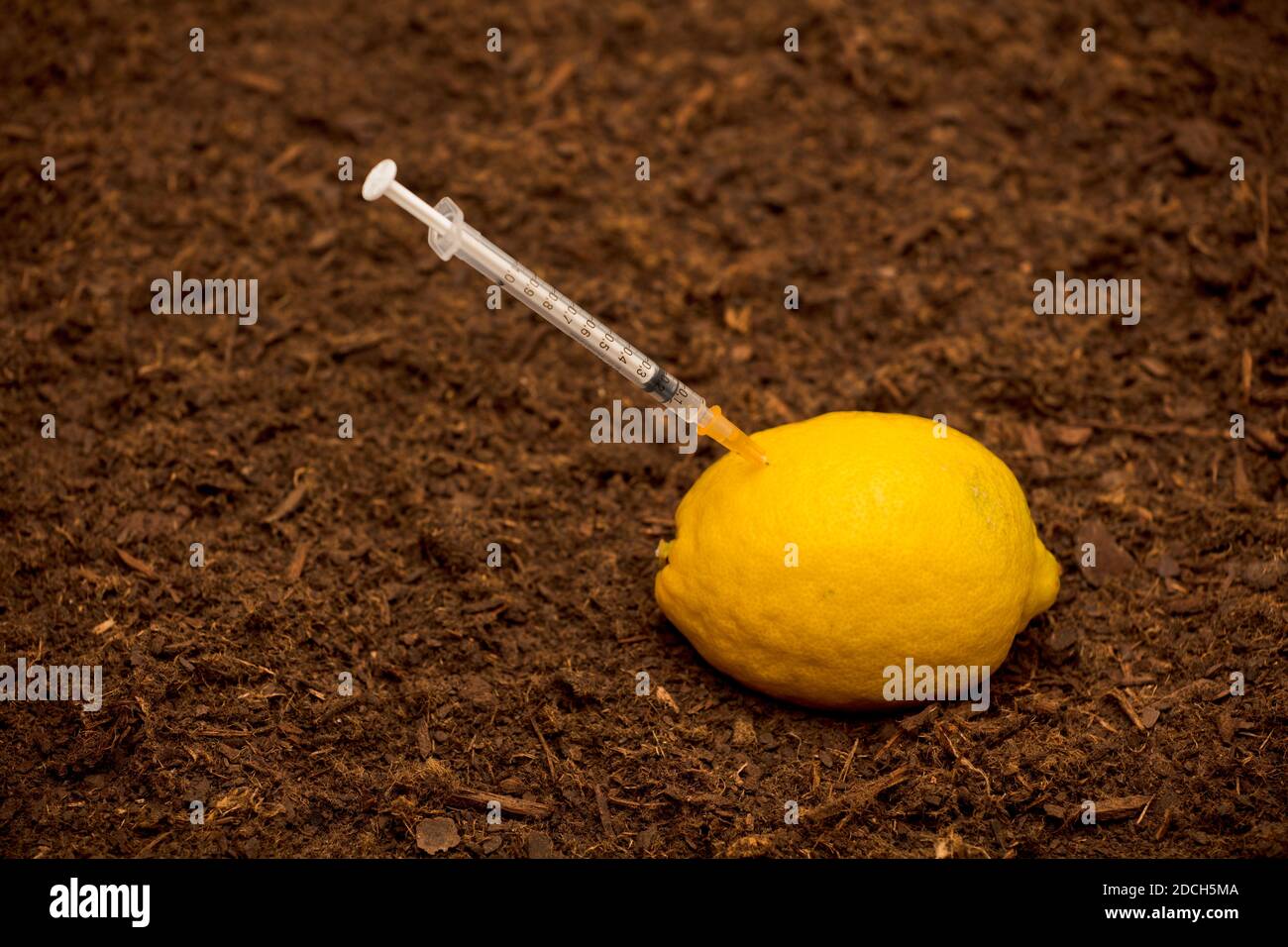 Gmo potato syringe hi-res stock photography and images - Alamy