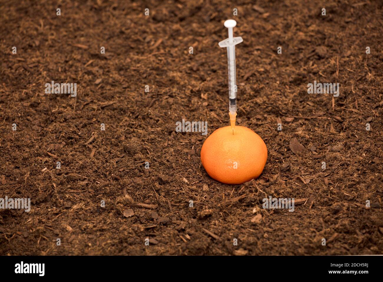 Gmo potato syringe hi-res stock photography and images - Alamy