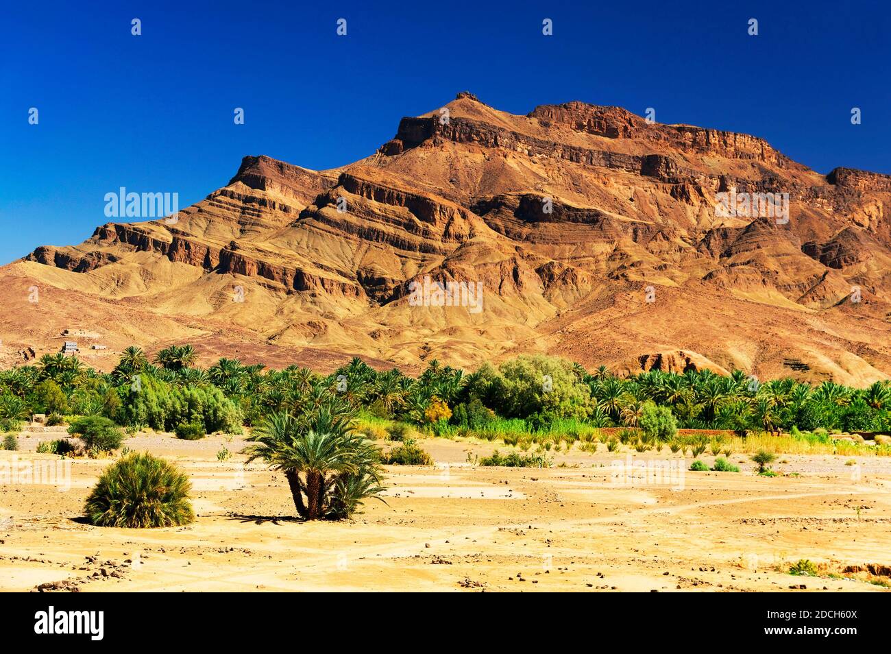 Alpine landscape of Atlas Mountains, South Morocco, Africa Stock Photo ...