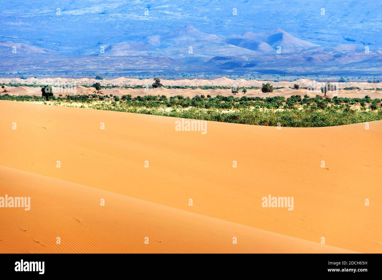 Sand dunes in Sahara Desert, Africa Stock Photo - Alamy