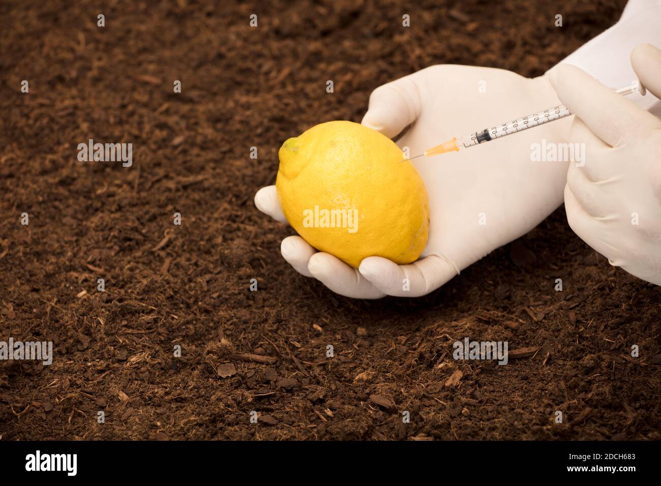 Potato injection hi-res stock photography and images - Alamy