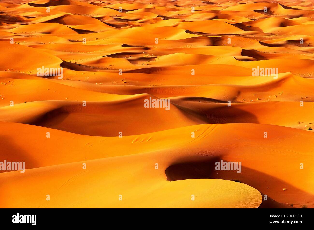 Sand dunes in Sahara Desert, Africa Stock Photo - Alamy
