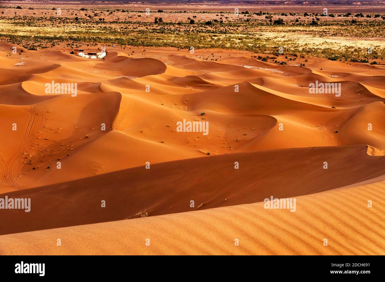 Sand dunes in Sahara Desert, Africa Stock Photo - Alamy