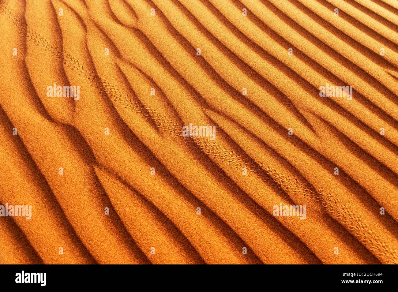 Sand dunes in Sahara Desert, Africa Stock Photo - Alamy