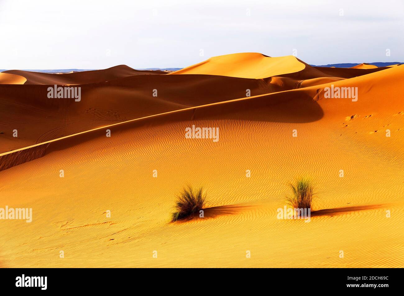 Sand dunes in Sahara Desert, Africa Stock Photo - Alamy