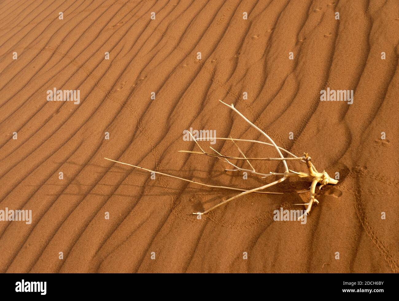 Sand dunes in Sahara Desert, Africa Stock Photo - Alamy