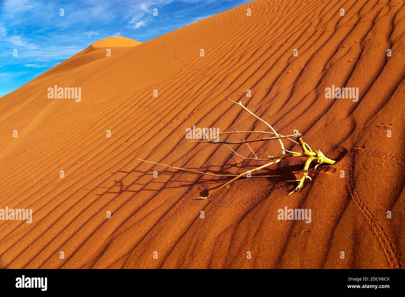 Sand dunes in Sahara Desert, Africa Stock Photo - Alamy
