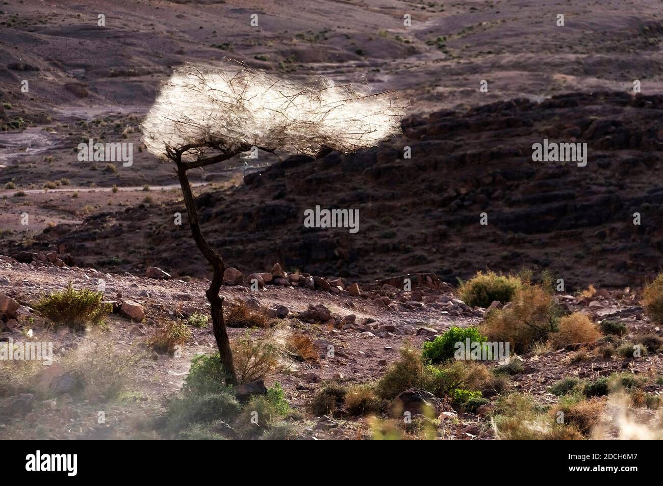 Alpine landscape of Atlas Mountains, South Morocco, Africa Stock Photo ...