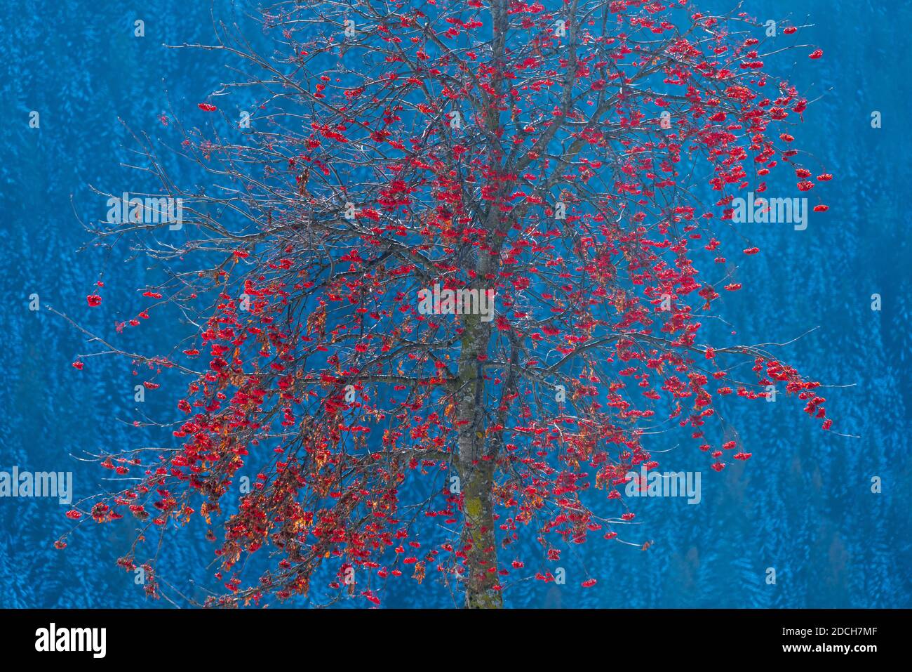 Village de corvara hi-res stock photography and images - Alamy