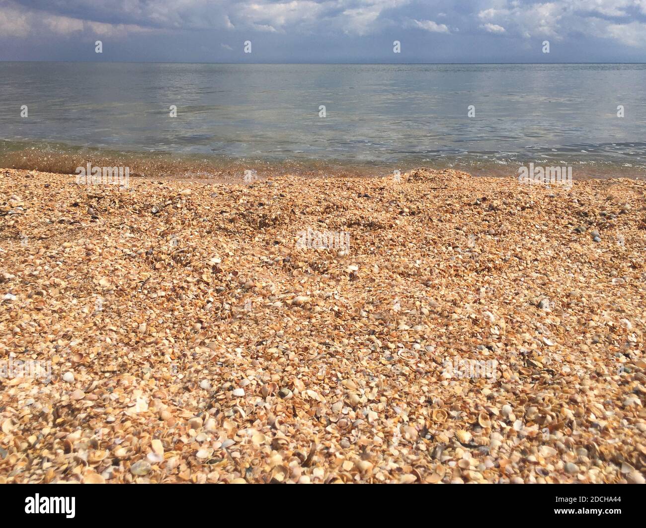 Seashore from small seashells blue sky and white clouds Stock Photo - Alamy