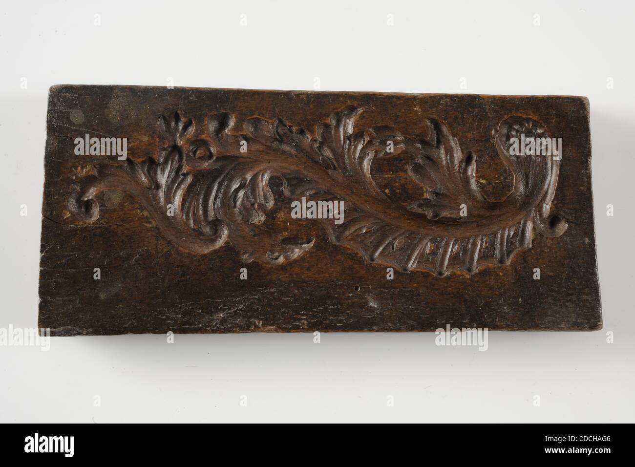 Leaf fanning out hi-res stock photography and images - Alamy