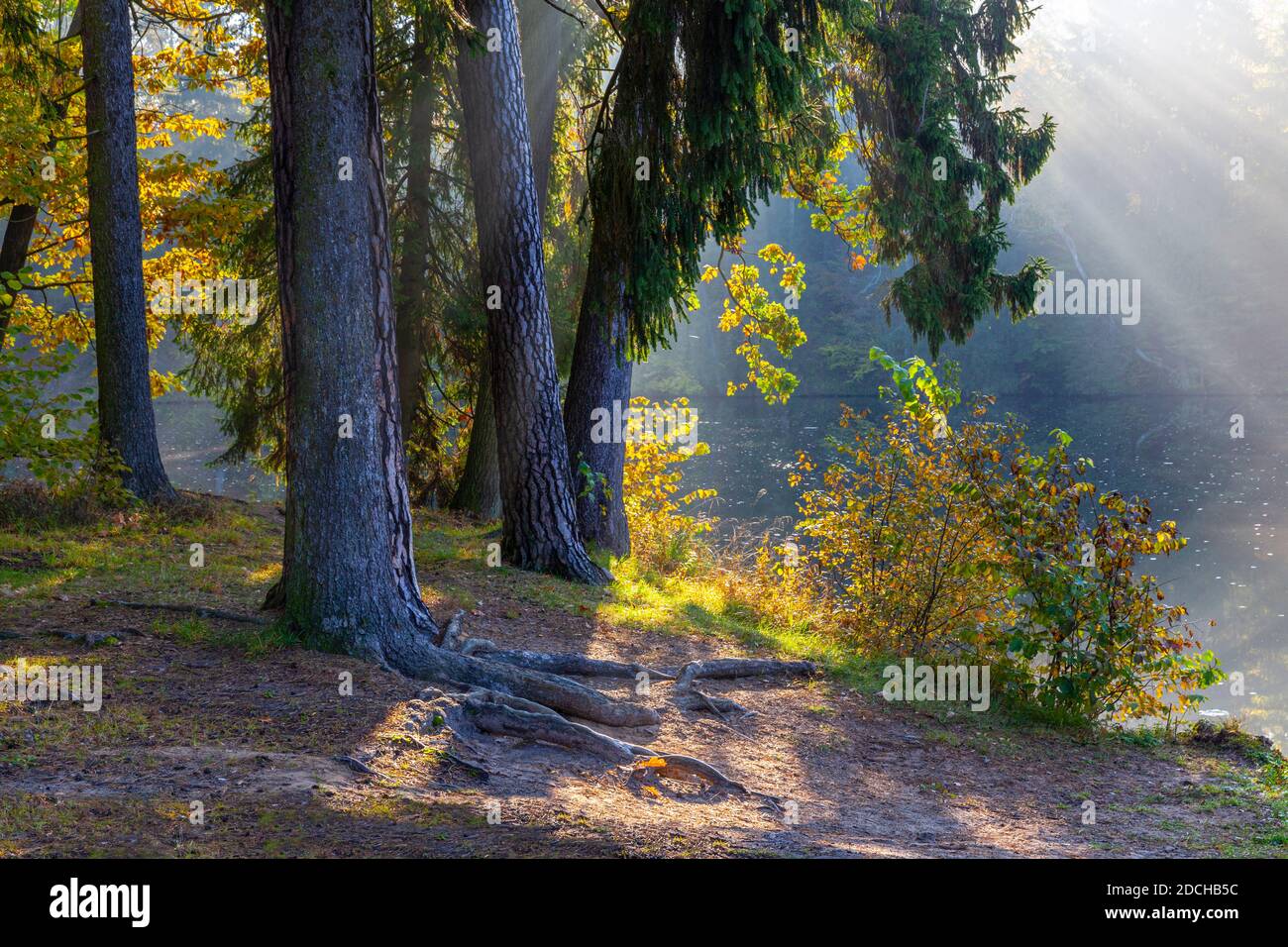 Warmia masuria quiet rest hi-res stock photography and images - Alamy