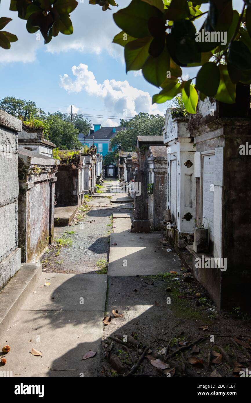 A serene, sunlit pathway through an old cemetery lined with weathered ...