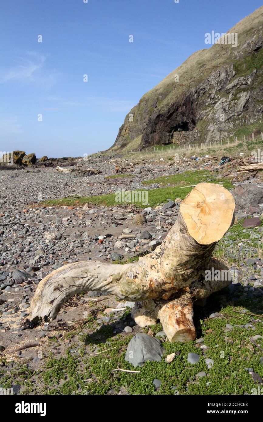 South Ayrshire, Scotland, UK Bennane The entrance to the cave where ...