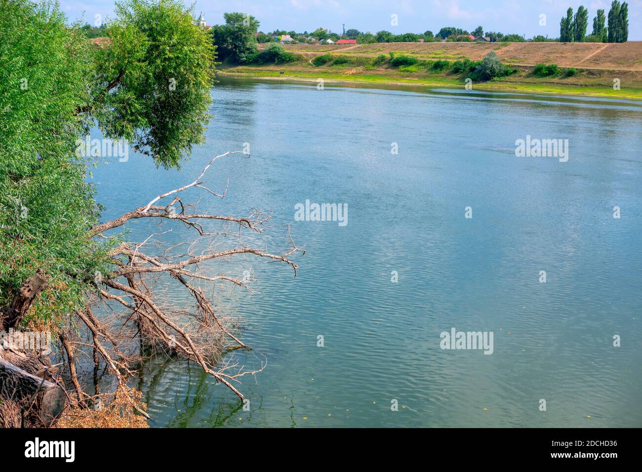 Rustic river scenery with fallen tree in water Stock Photo - Alamy