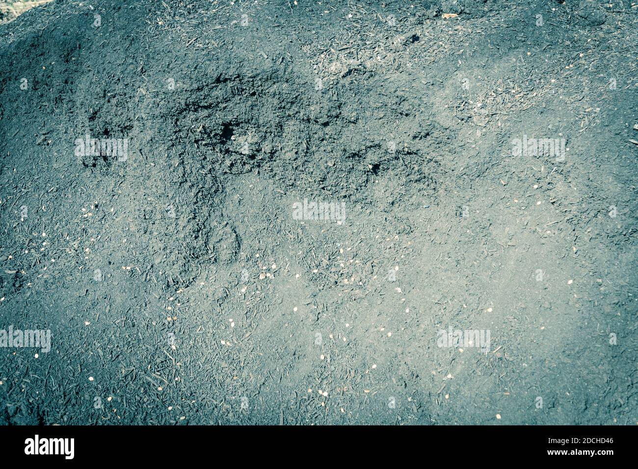 Dallas nature center hi-res stock photography and images - Alamy