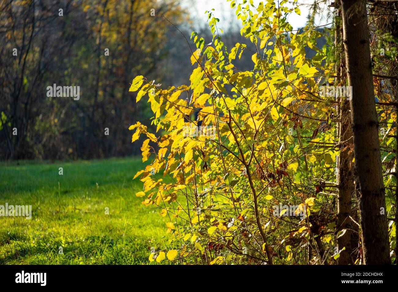Wonderful colours hi-res stock photography and images - Alamy