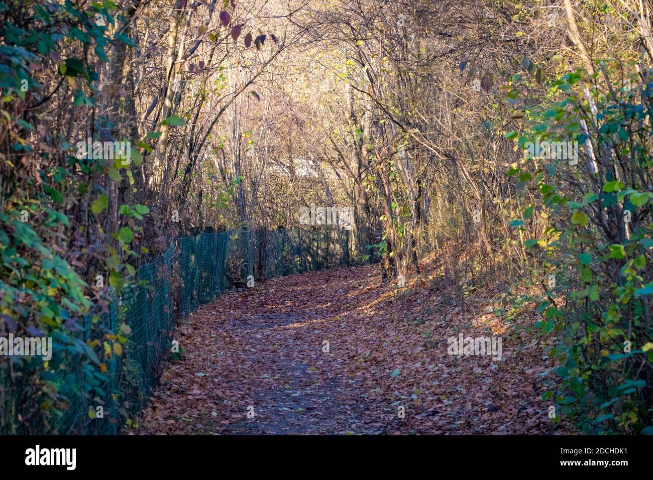 Wonderful colours hi-res stock photography and images - Alamy