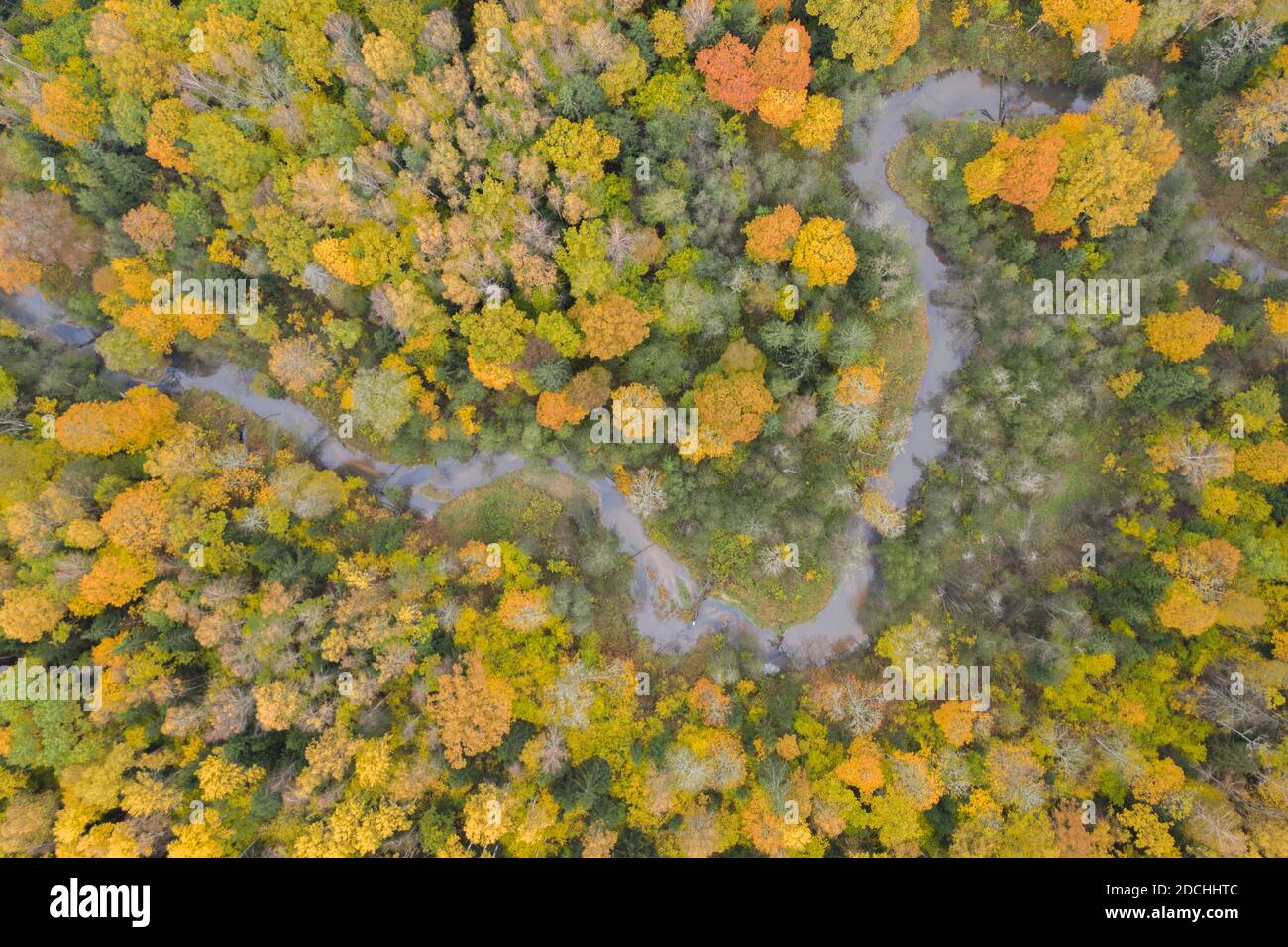 Aerial top down view of river flowing through green yellow autumn forest Stock Photo - Alamy