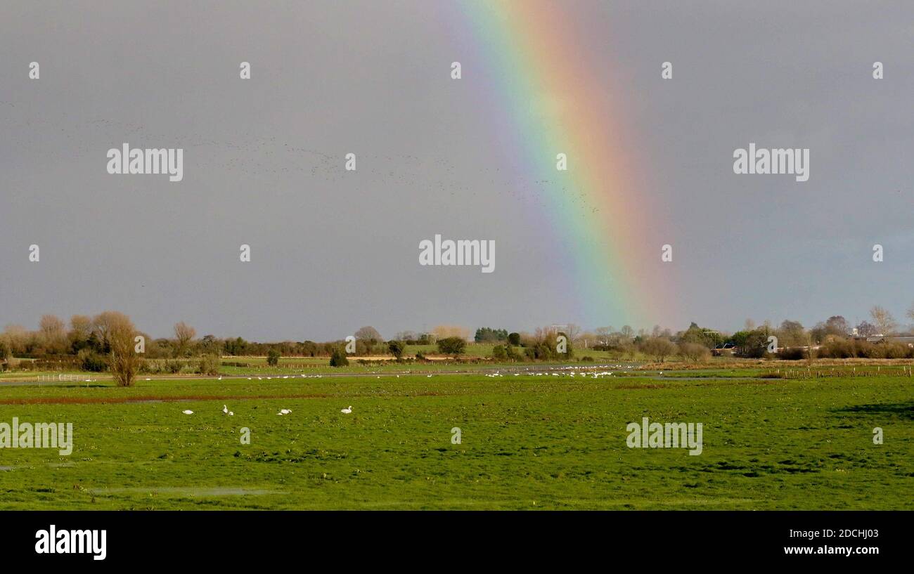 Moira river hi-res stock photography and images - Alamy