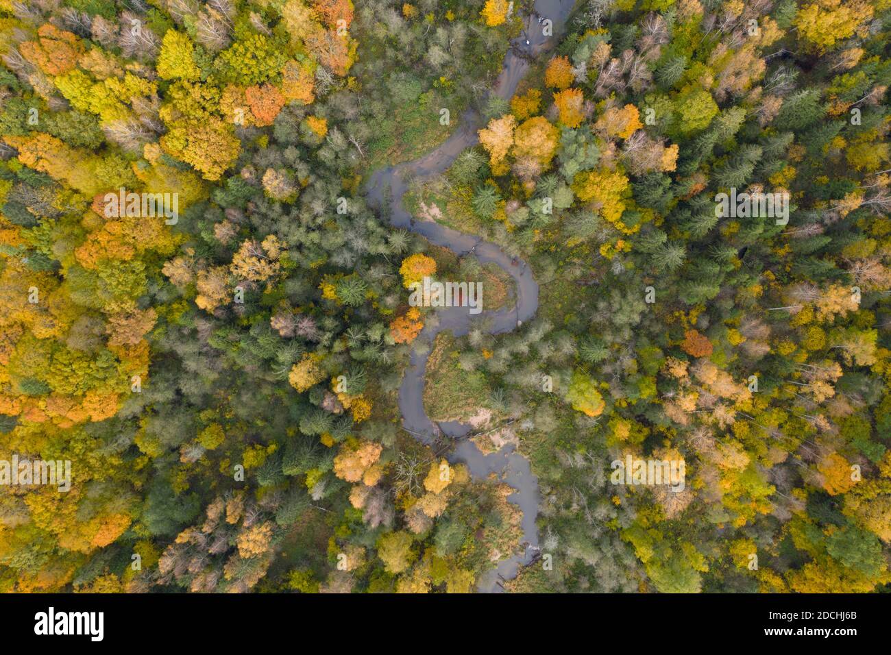 Aerial top down view of river flowing through green yellow autumn forest Stock Photo - Alamy