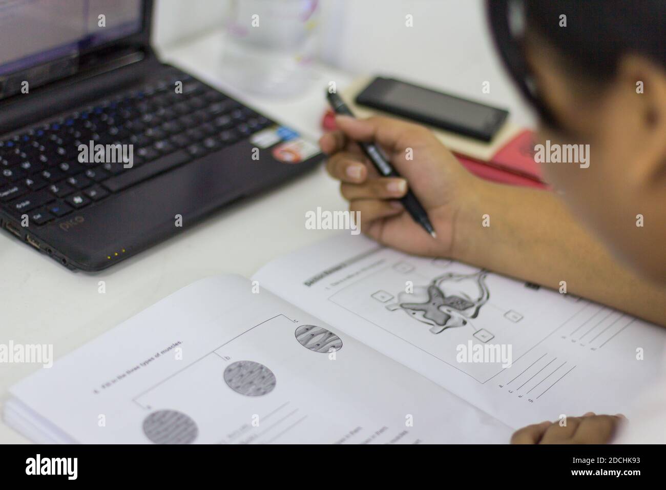 Student doing their intense studying Stock Photo - Alamy