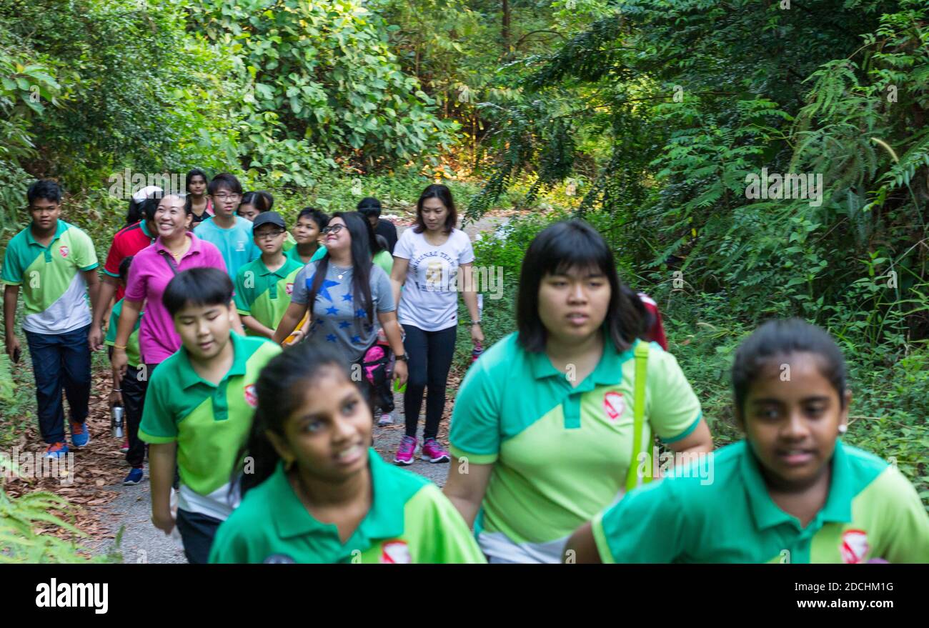 Taken during school activity while on nature walk Stock Photo - Alamy