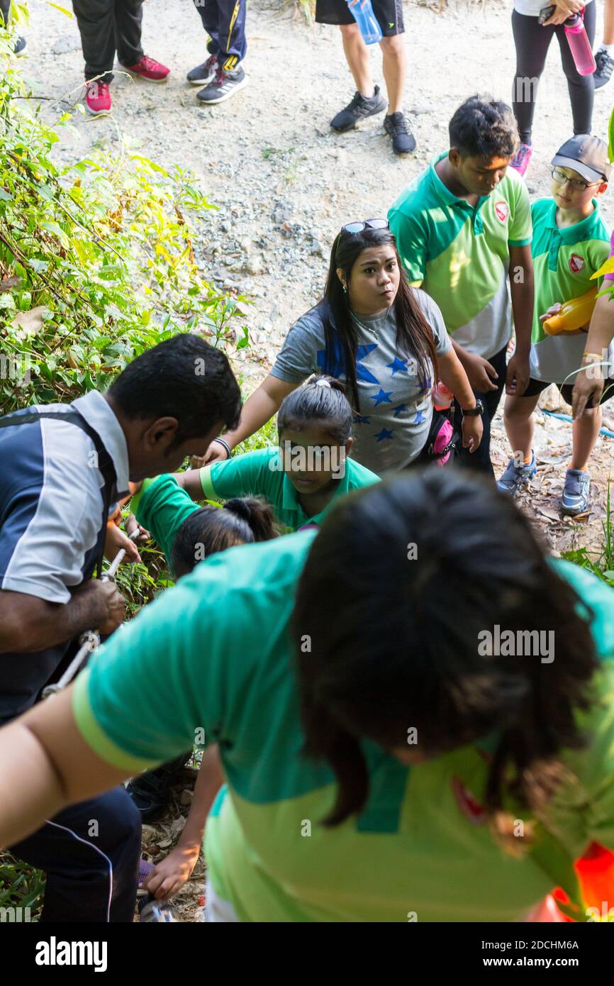 Taken during school activity while on nature walk Stock Photo - Alamy