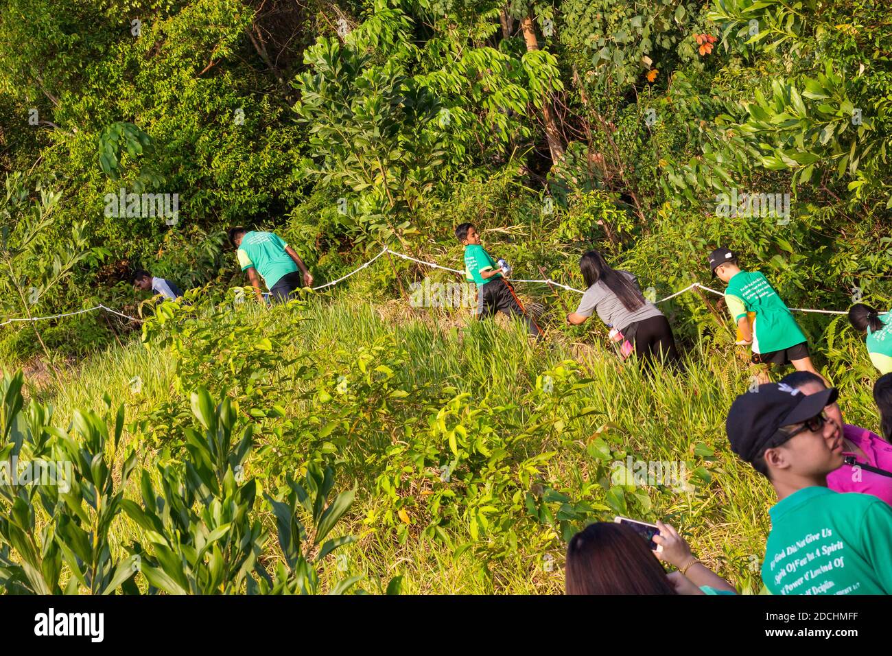 Taken during school activity while on nature walk Stock Photo - Alamy