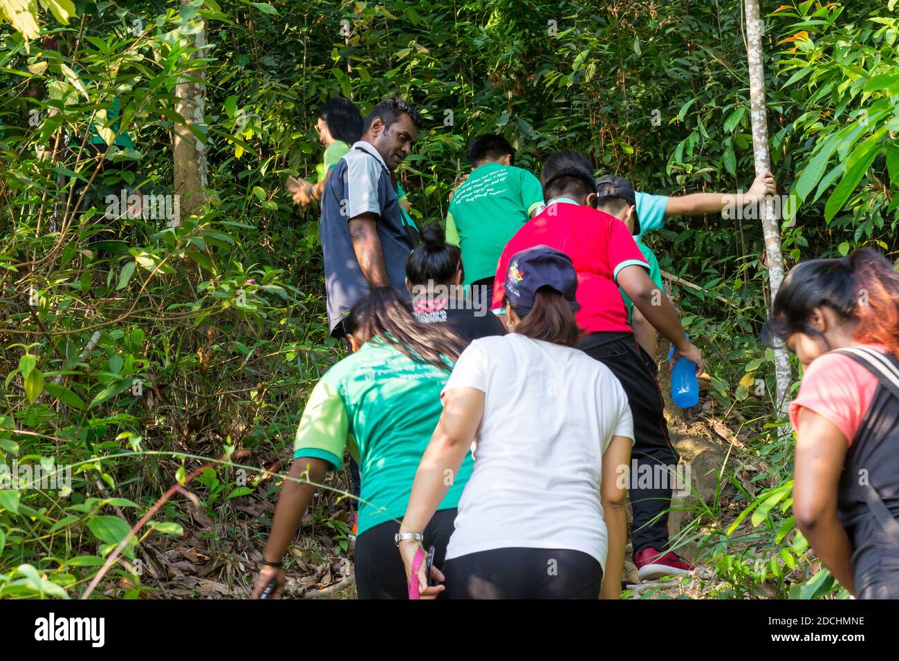 Taken during school activity while on nature walk Stock Photo - Alamy