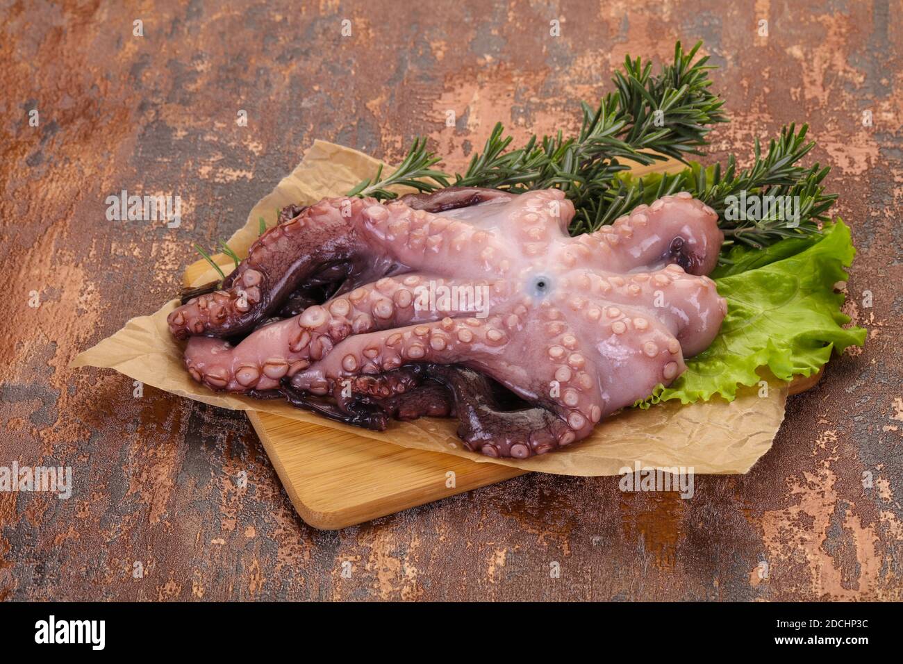 Raw octopus ready for cooking with rosemary Stock Photo - Alamy