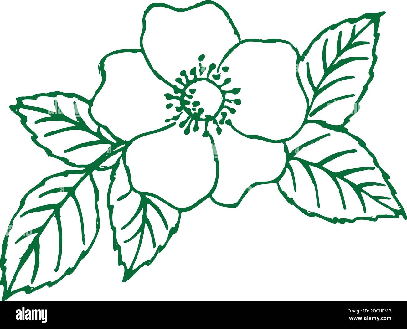 Fragile dog Stock Vector Images - Alamy