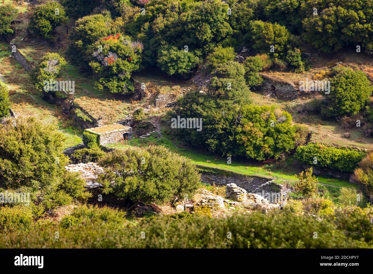 Watermill plant hi-res stock photography and images - Alamy