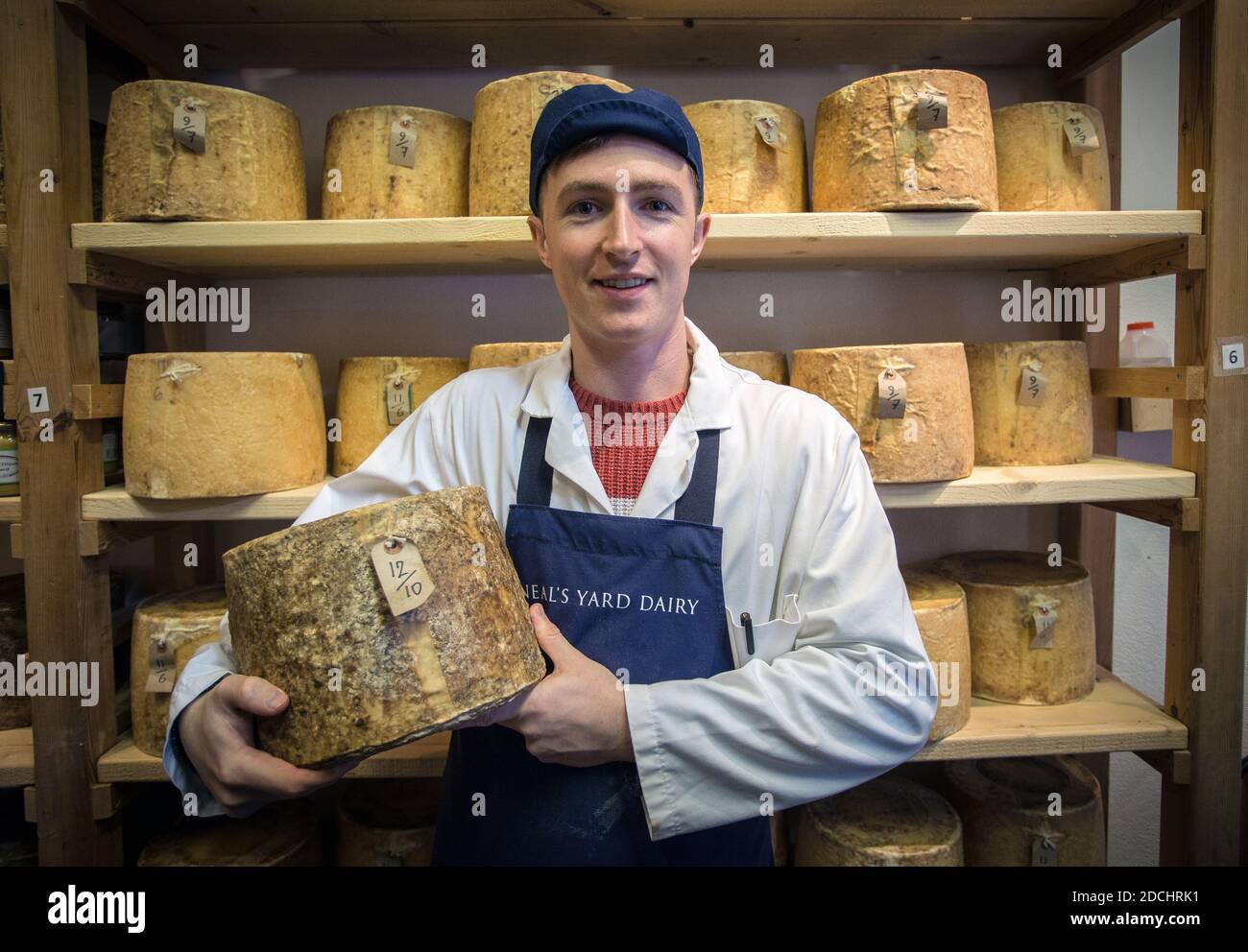 Young cheese hi-res stock photography and images - Alamy