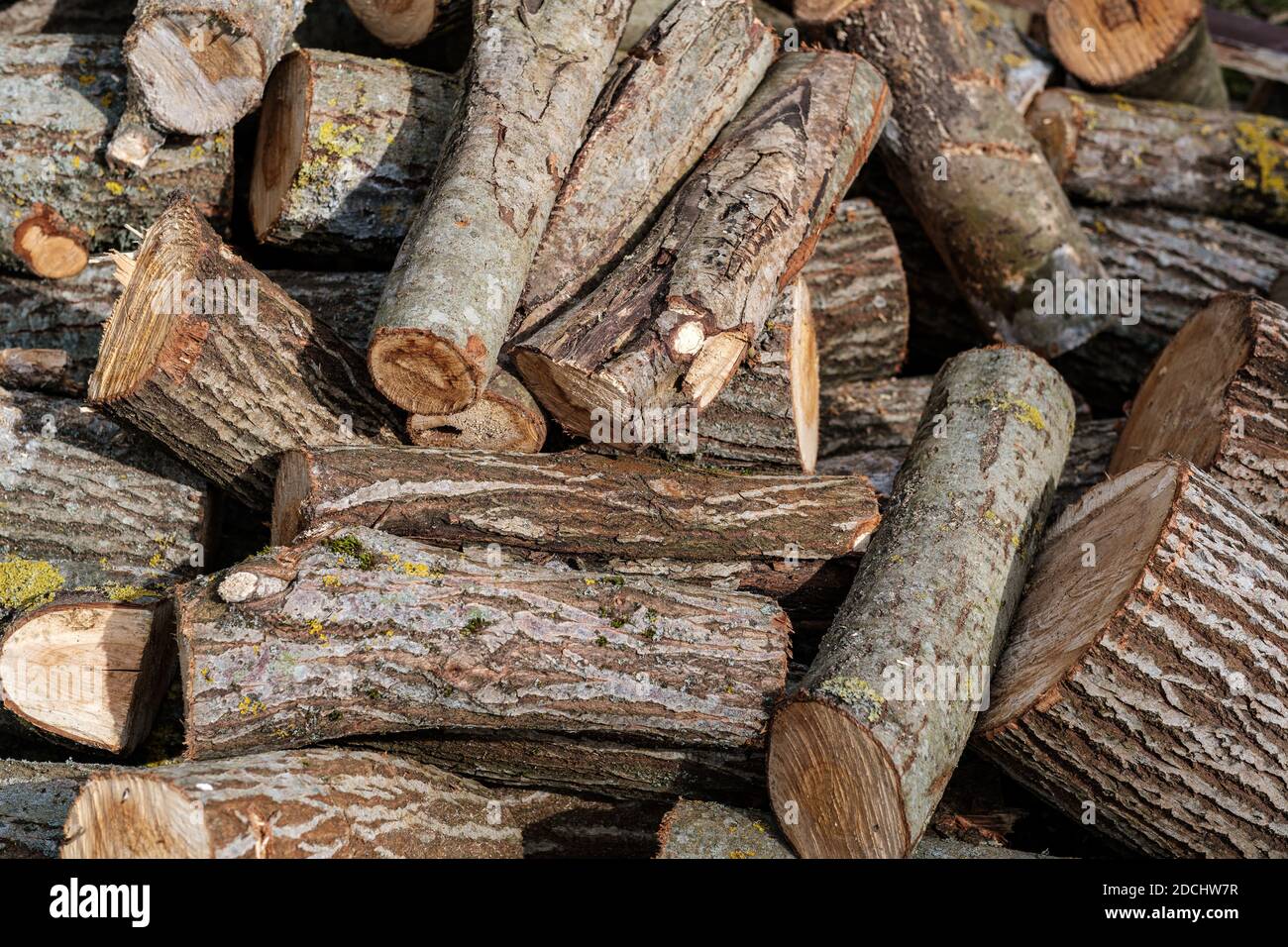 firewood log texture in nature. wood chaos pattern Stock Photo - Alamy