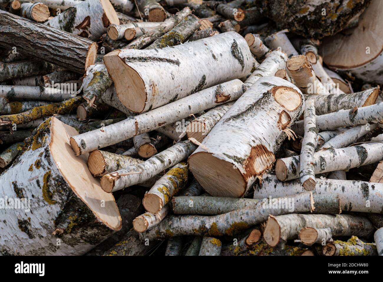 firewood log texture in nature. wood chaos pattern Stock Photo - Alamy