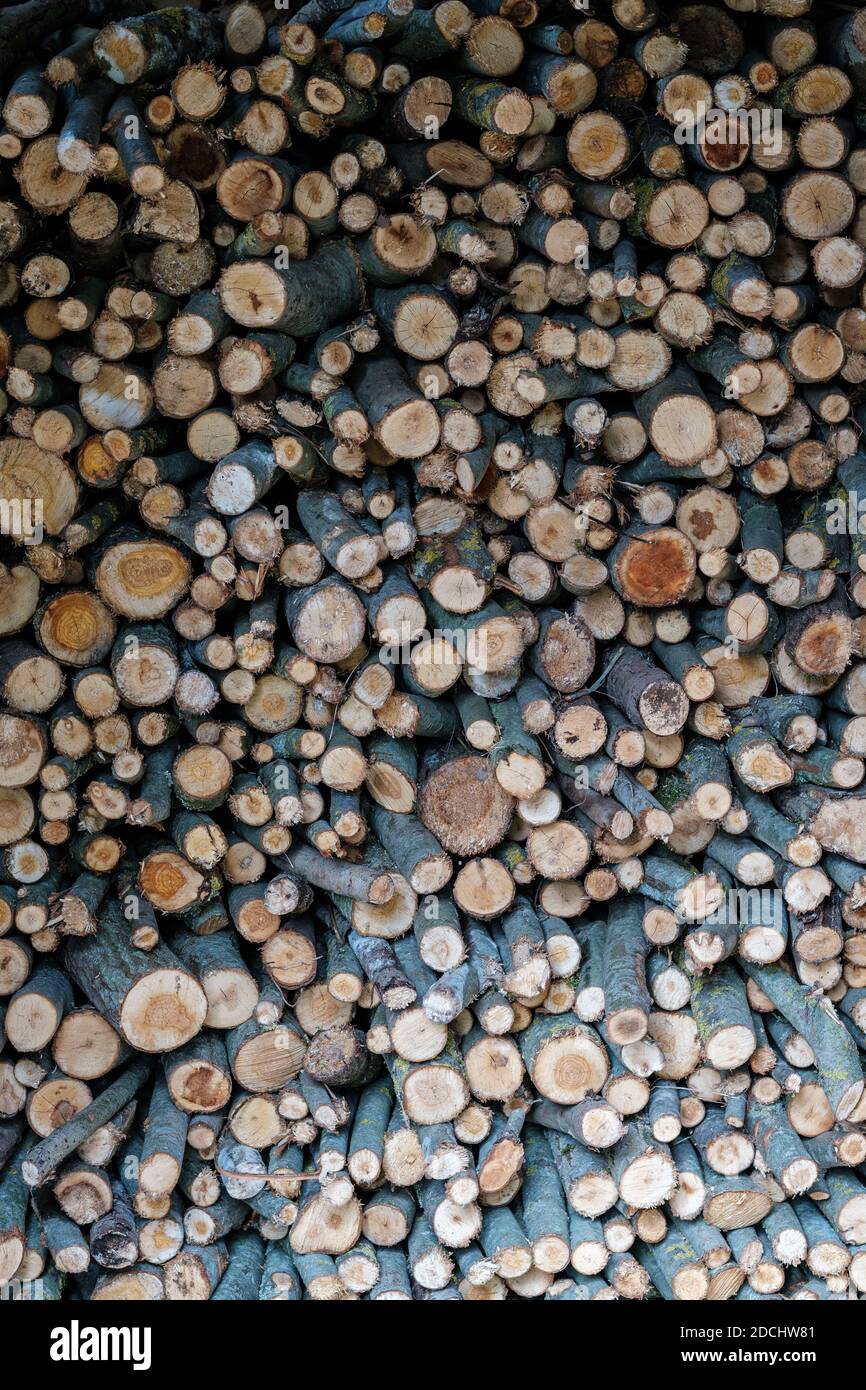 firewood log texture in nature. wood chaos pattern Stock Photo - Alamy