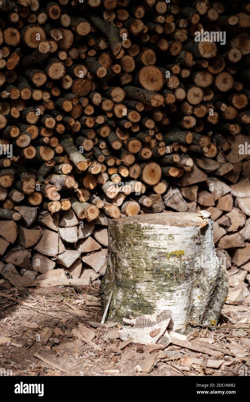 firewood log texture in nature. wood chaos pattern Stock Photo - Alamy