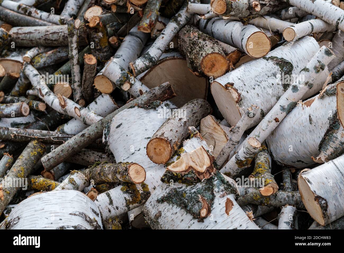 firewood log texture in nature. wood chaos pattern Stock Photo - Alamy