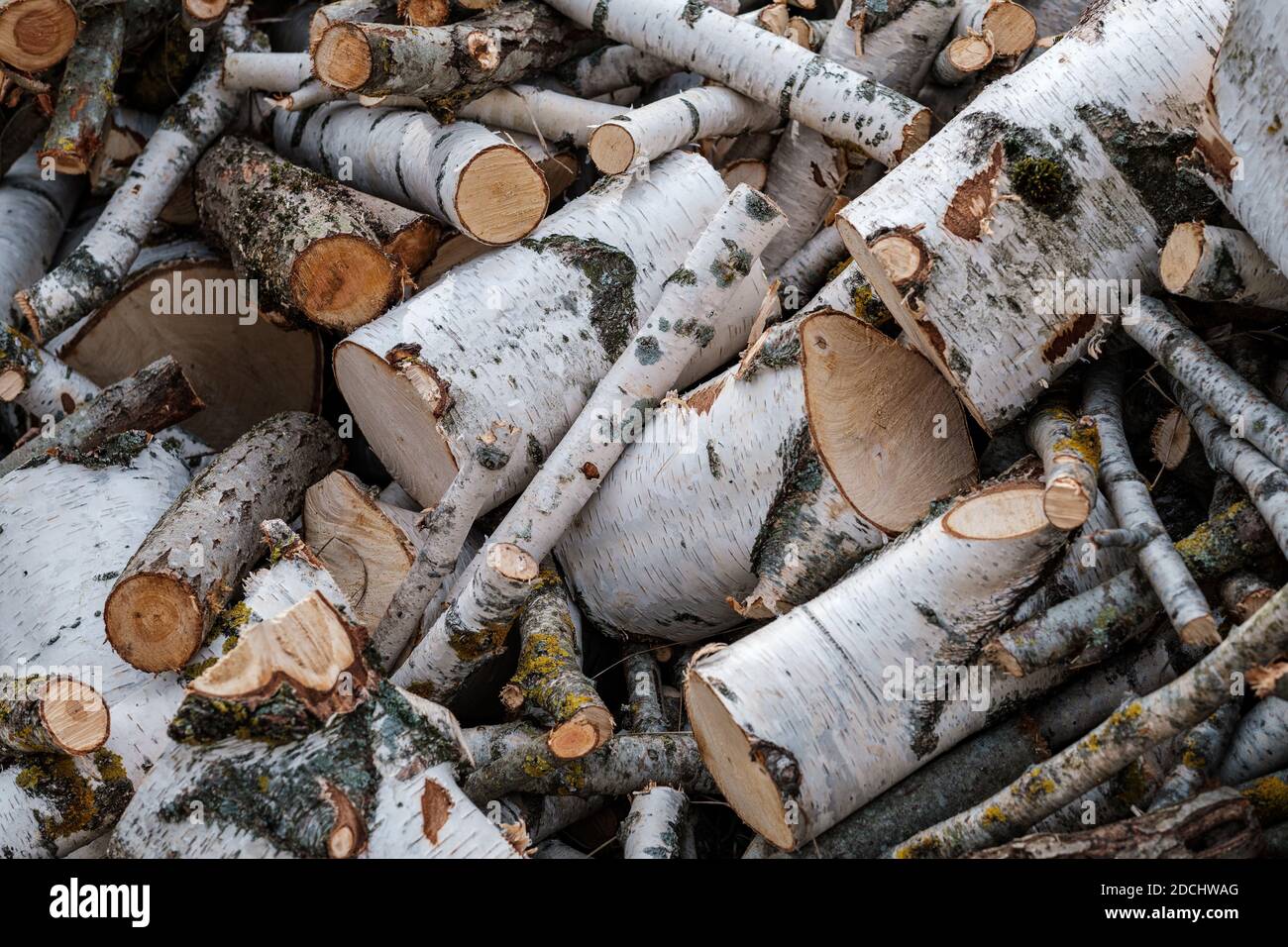 firewood log texture in nature. wood chaos pattern Stock Photo - Alamy