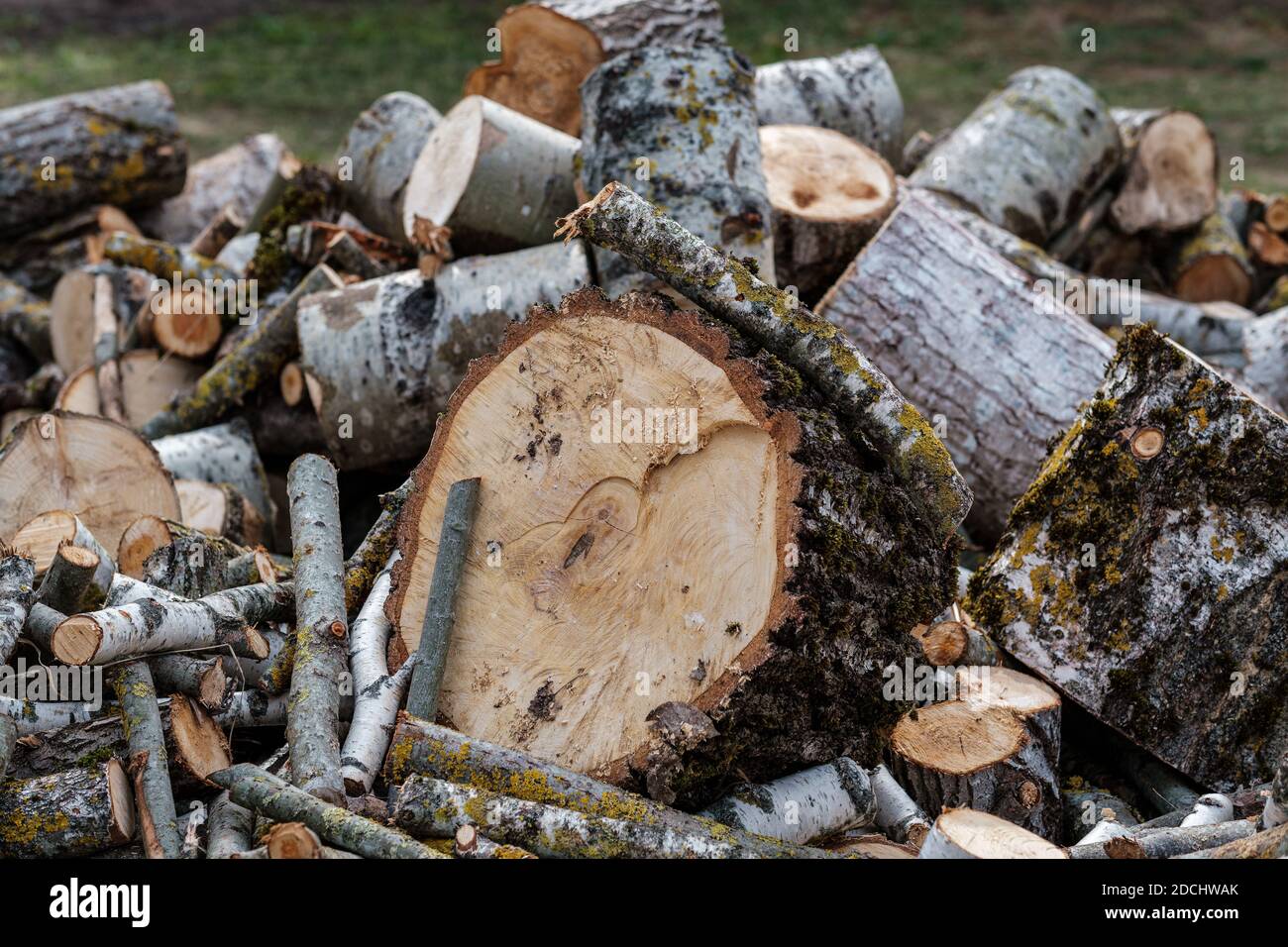firewood log texture in nature. wood chaos pattern Stock Photo - Alamy