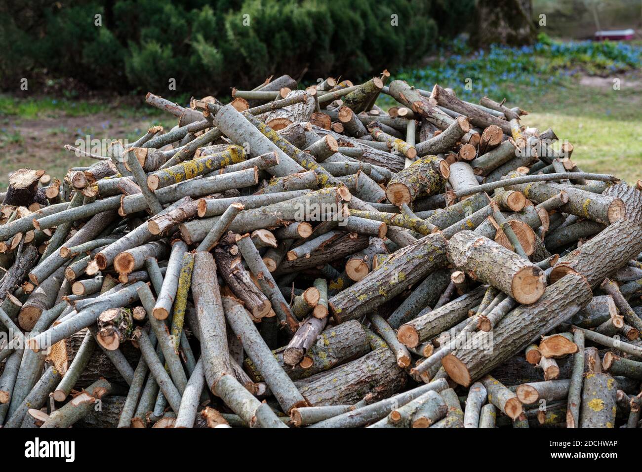 firewood log texture in nature. wood chaos pattern Stock Photo - Alamy