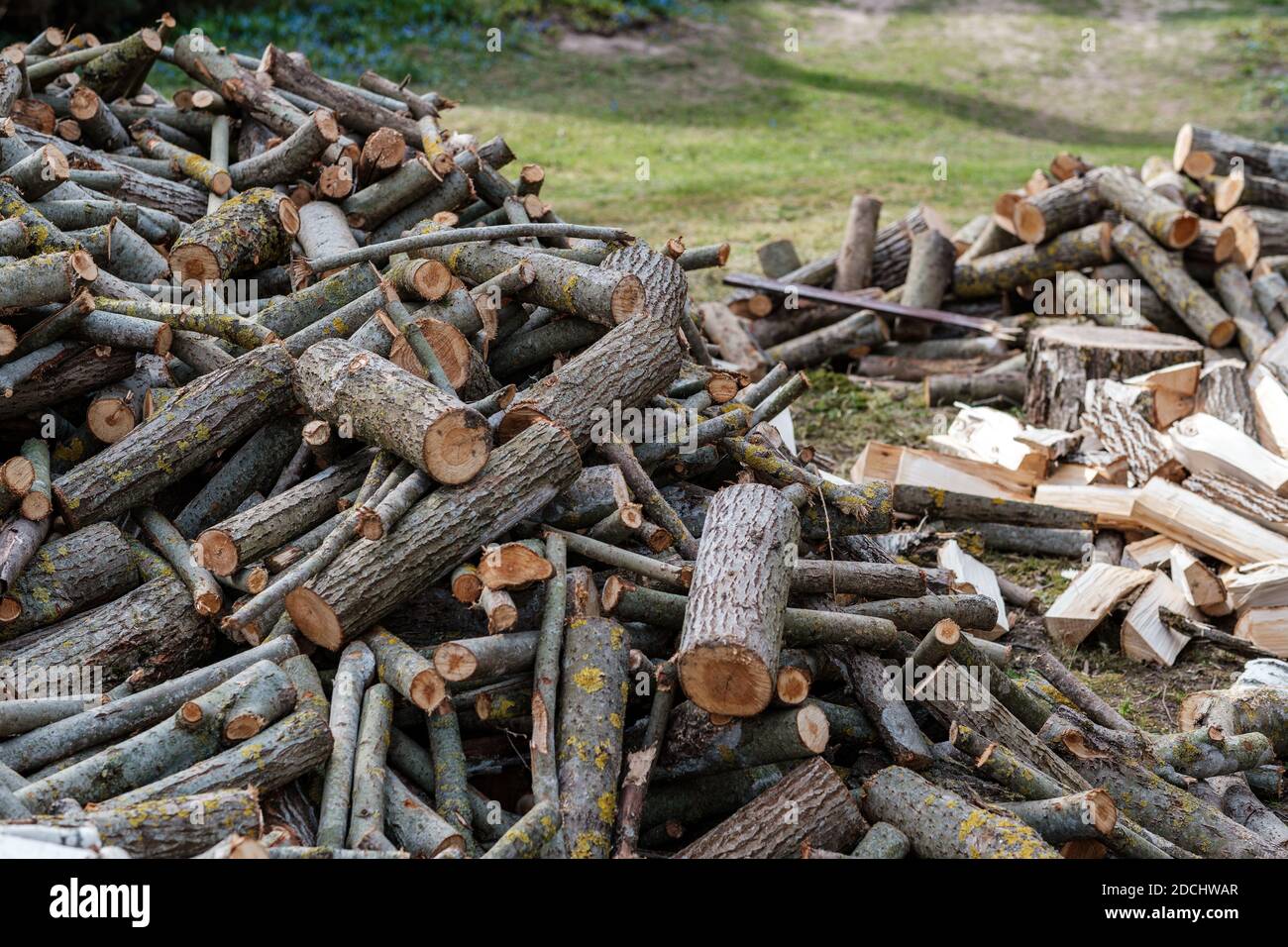firewood log texture in nature. wood chaos pattern Stock Photo - Alamy