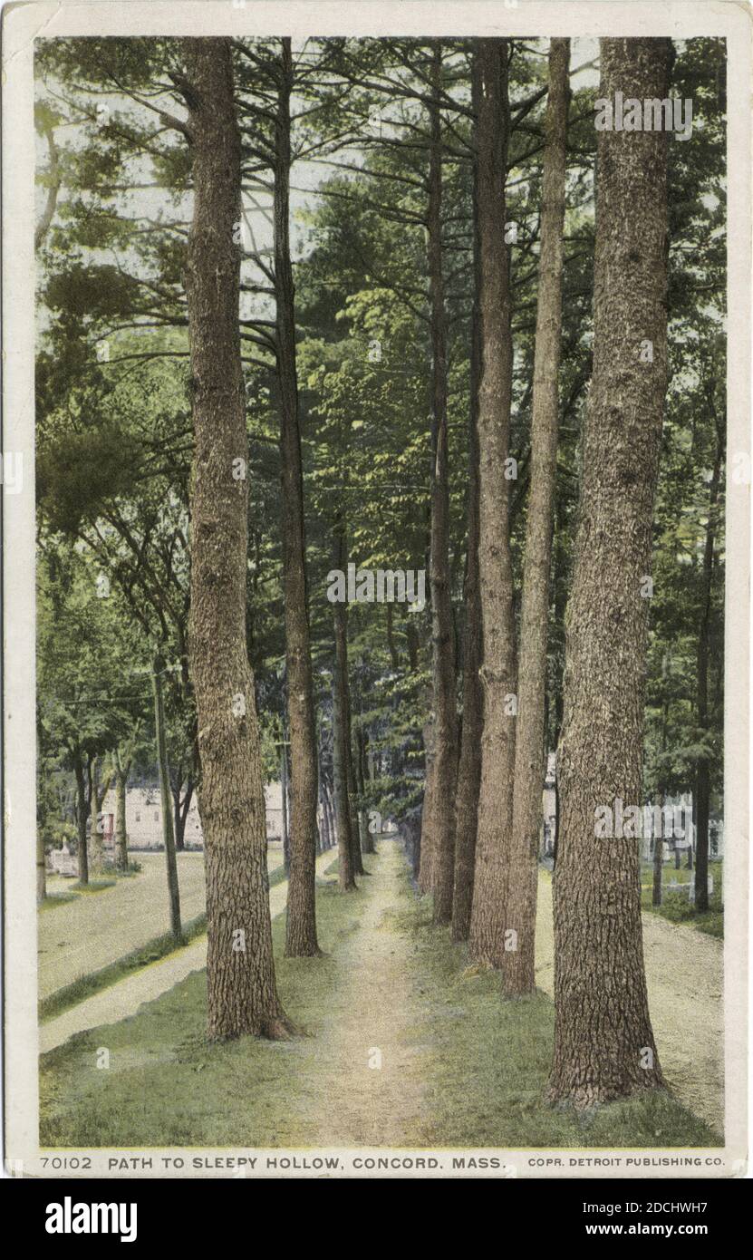 Path to Sleepy Hollow, Concord, Mass., still image, Postcards, 1898 ...